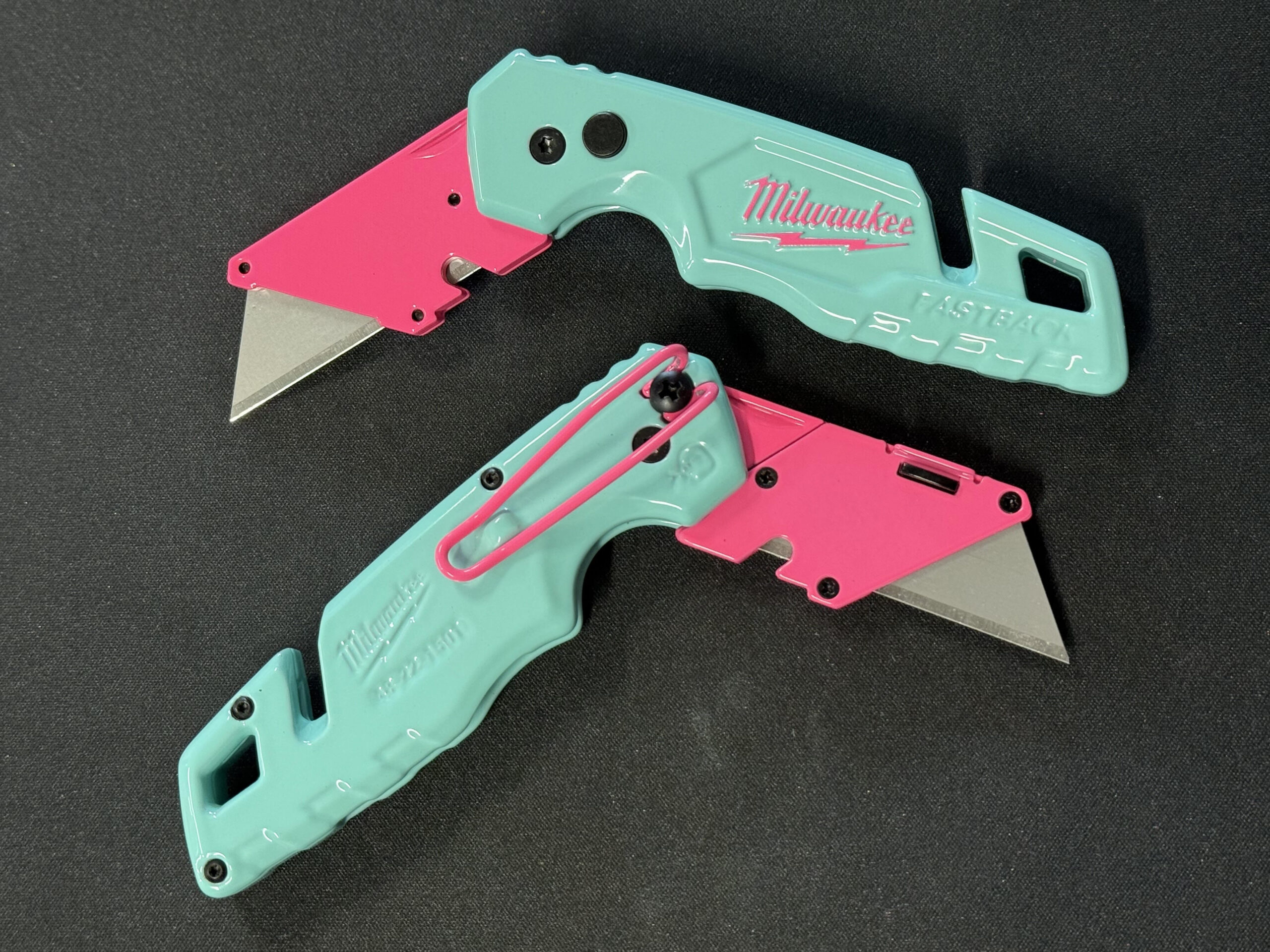 Milwaukee Fastback - Tiff Blue and Pink - Snake River Rifleworks